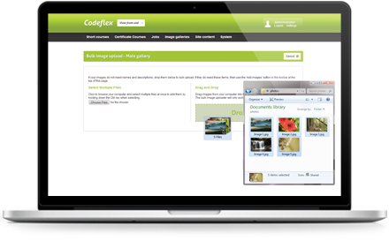 Codeflex - Website Design and Development in Maryborough Victoria